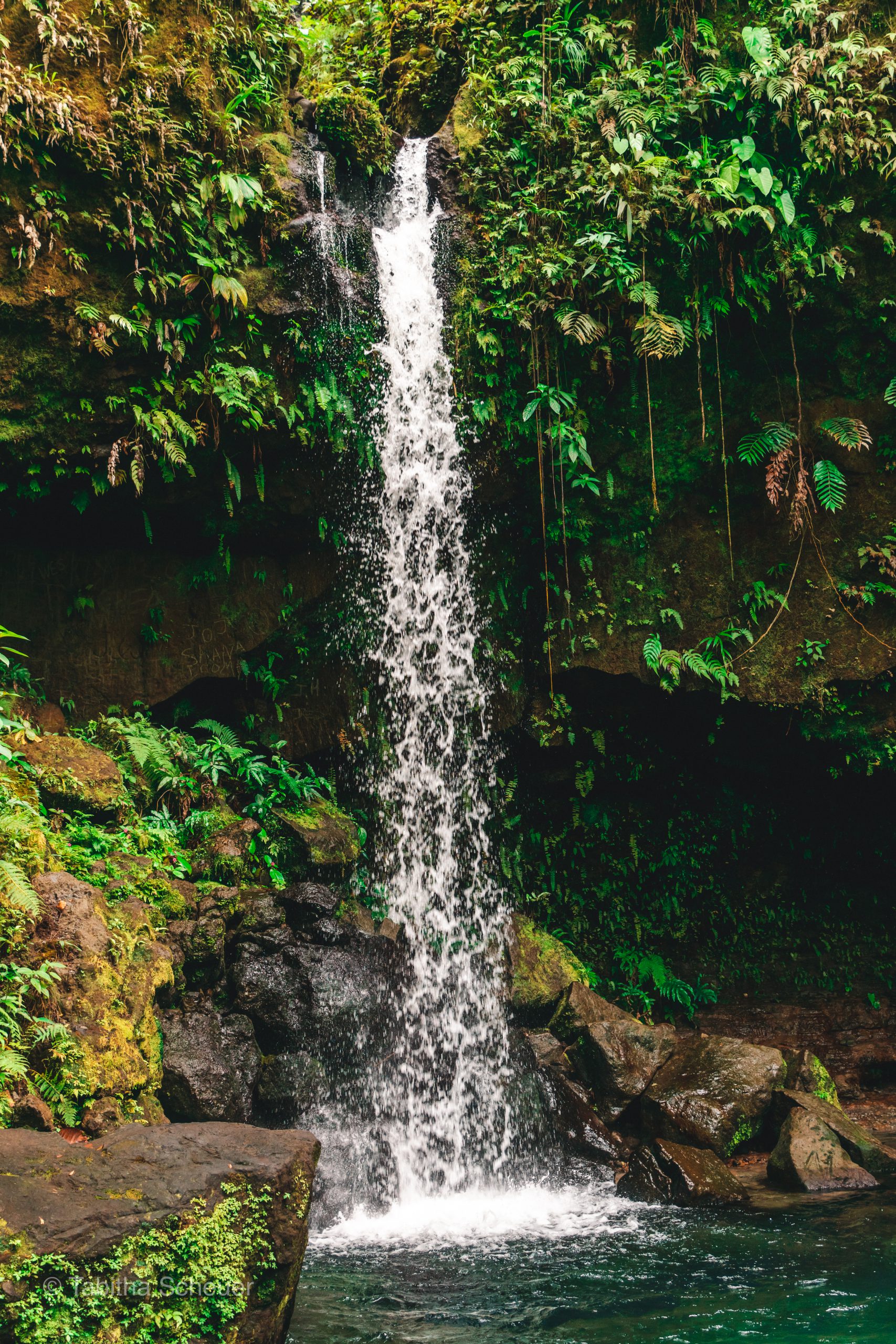 A virtual trip to Dominica - tabithaschr