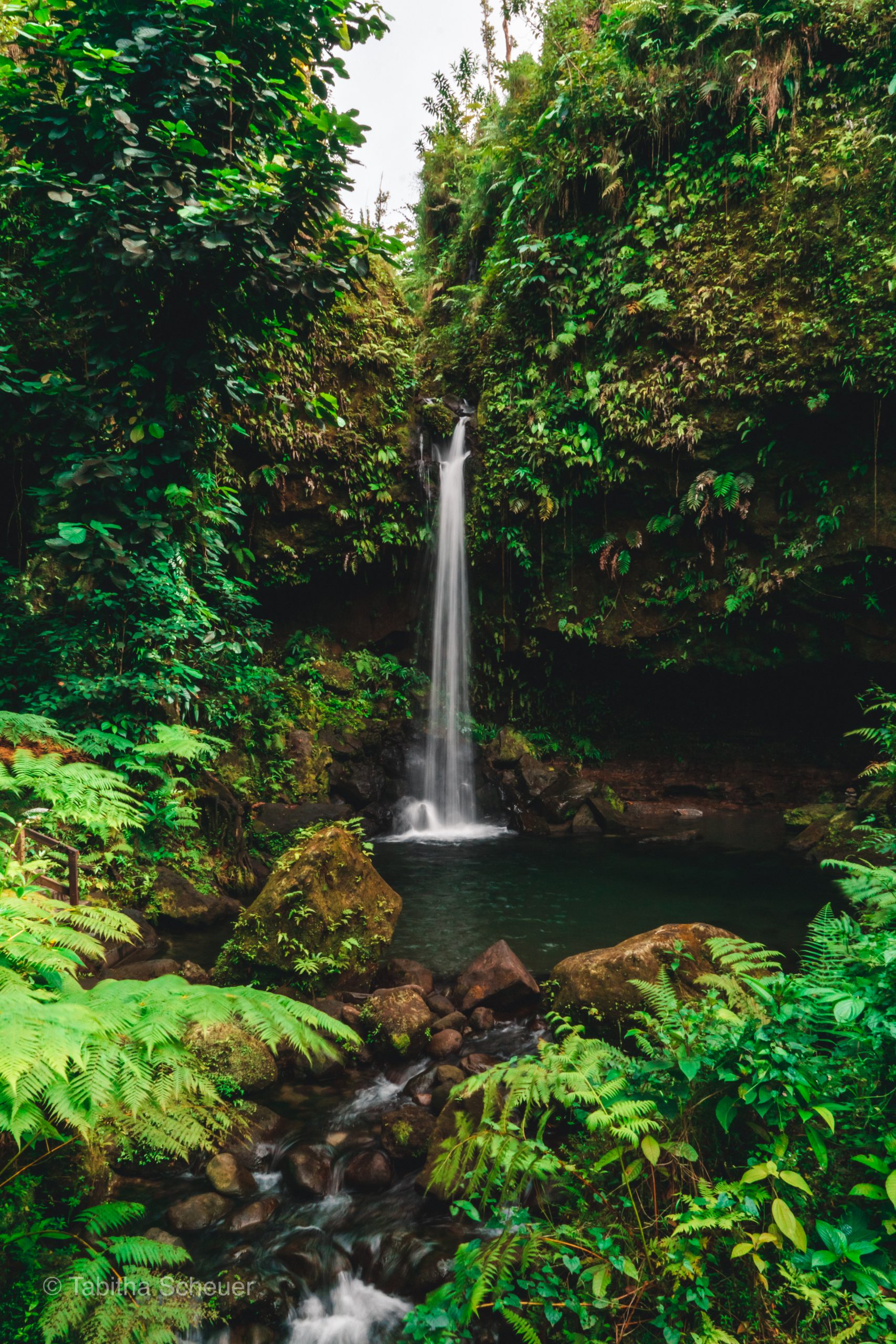 A virtual trip to Dominica - tabithaschr