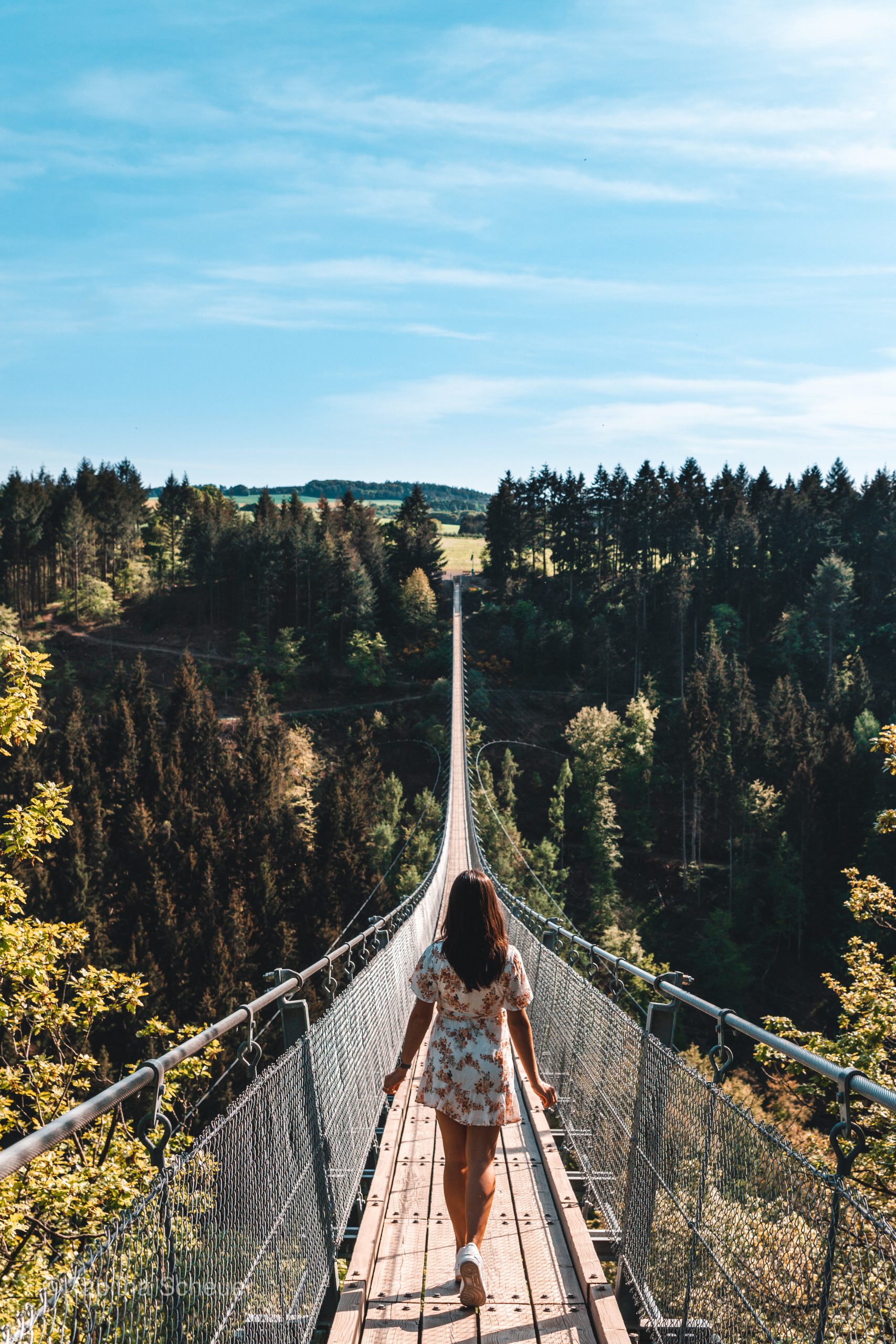 How to visit the Geierlay suspension rope bridge in Germany - tabithaschr