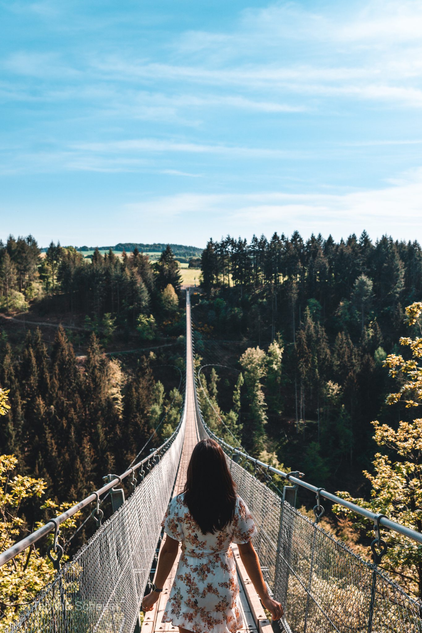 How to visit the Geierlay suspension rope bridge in Germany - tabithaschr