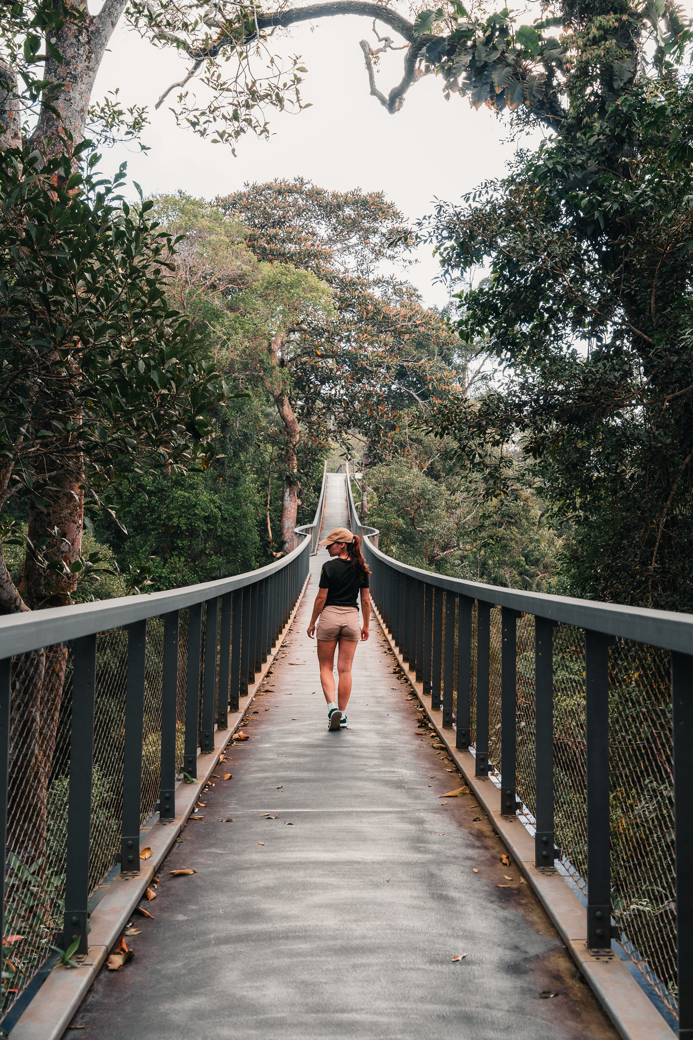Discovering the Charms of Penang: A Malaysian Gem - tabithaschr