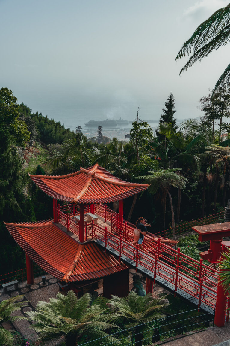 Things to Know Before Going to Madeira: A First Timer's Guide - tabithaschr